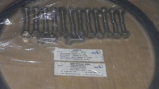 KSB Division AMRI Spare Kit A (SEAT) DANAIS 14" CL300 42088101 Marine ...