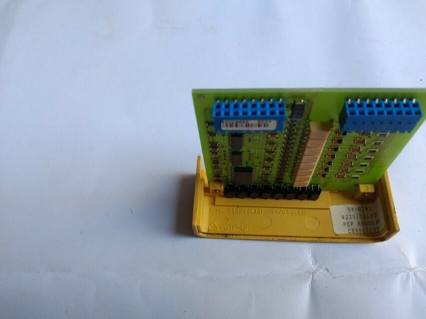 PEP Modular SM-DIN1 31.137-1030.1 8 Optoisolated Digital input Module ...