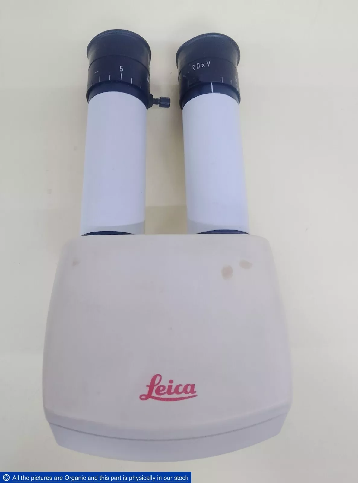 Leica 10445 619 AS Microscope Inclined Binocular Tube W/ WF20xV WF20xVS ...
