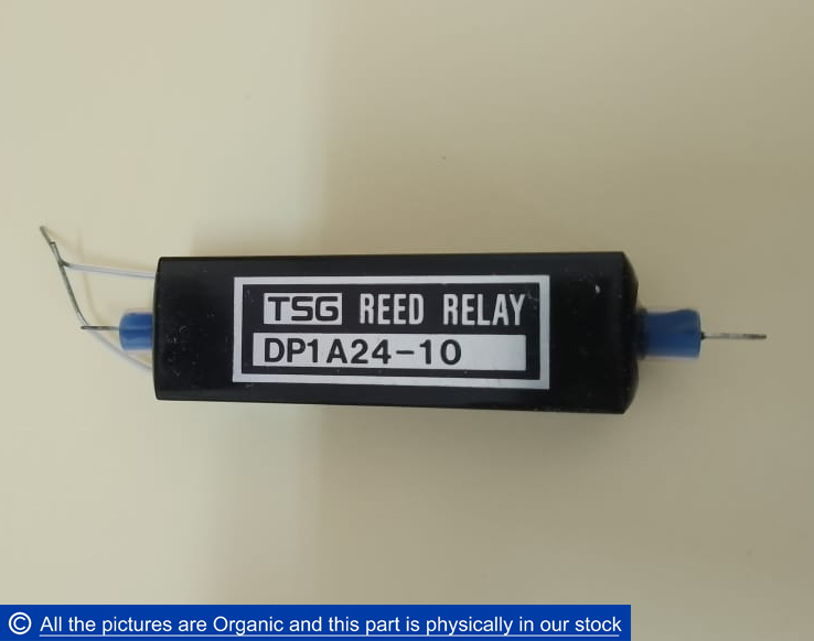 TSG DP1A24-10 Reed Relay DP1A2410 New - Industrial SOL Pte Ltd